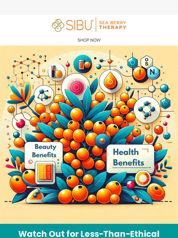 Sibu Beauty: How to Pick the Best Sea Buckthorn & Omega 7 | Milled