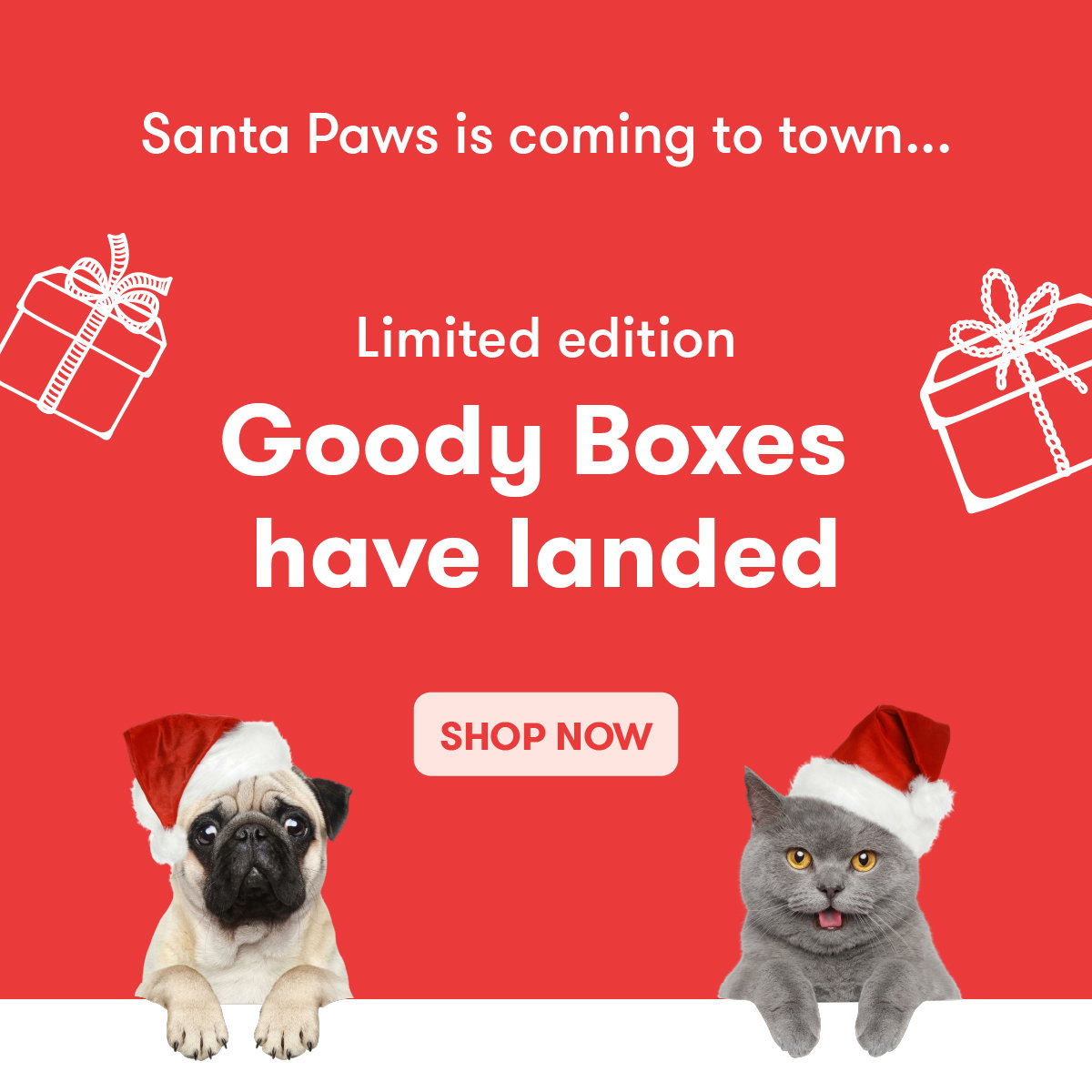 Pet Direct NZ: Limited Edition Goody Boxes Are Here | Save 25% 🎄 | Milled