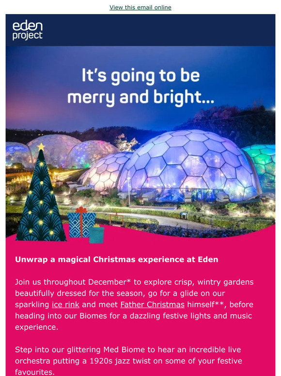 Eden Project Shop: Christmas at Eden awaits... 🎄 | Milled