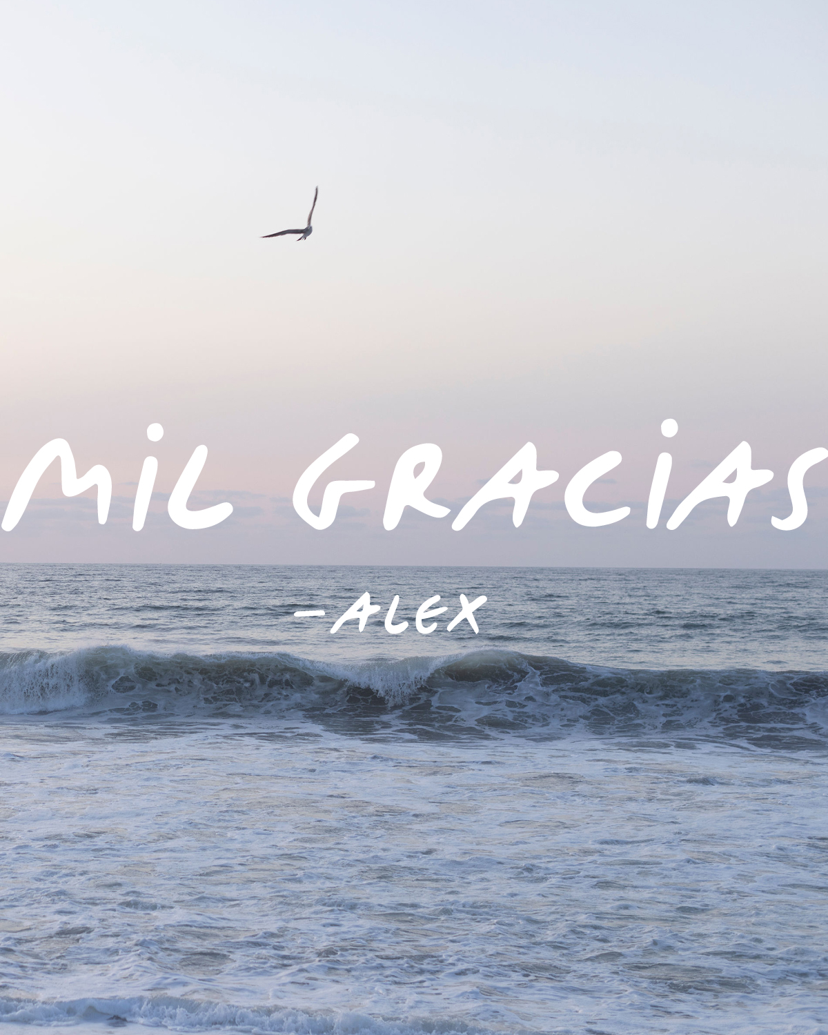 Alex Crane: Mil Gracias | Milled