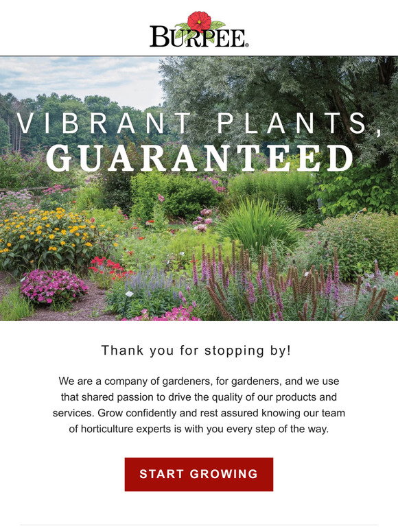 Burpee: Did you enjoy exploring our garden? | Milled