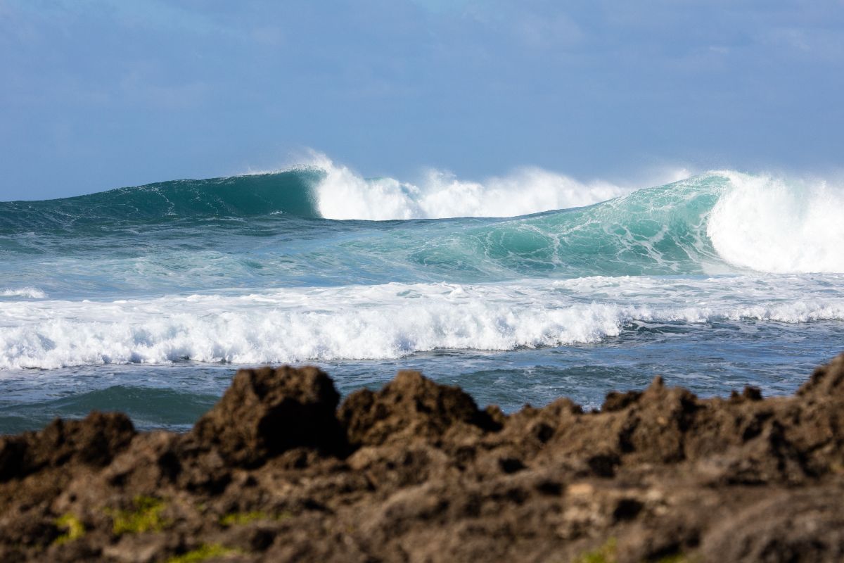 HIC Surf: Pivotal Points on the Line at The Hawaiian Islands HIC Hale ...