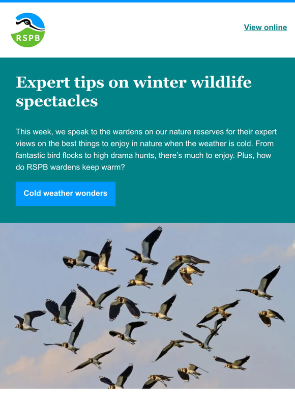 RSPB: RSPB wardens reveal their winter secrets | Milled