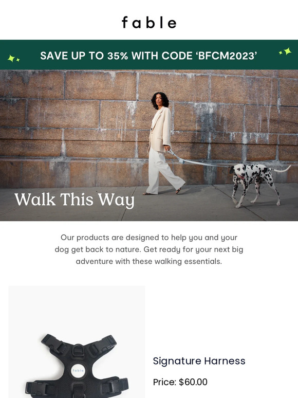 Fable Pets: Fable's Signature Harness should be part of your adventures ...