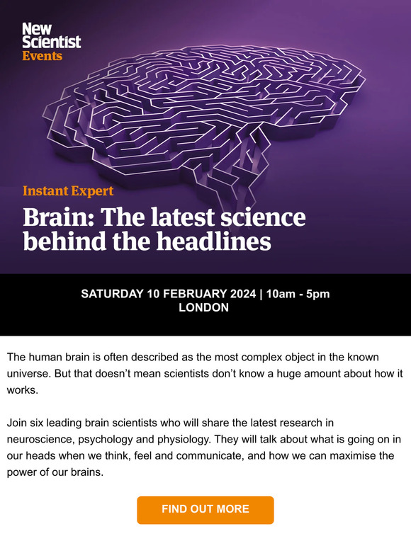 New Scientist: The Human Brain: science behind the headlines | Milled
