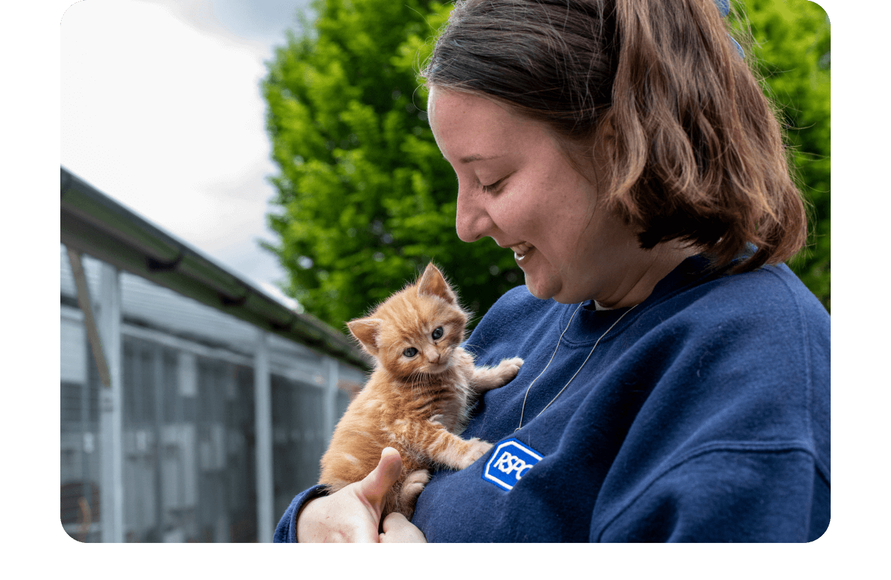 Omaze: Meet Our Charity Partner: The RSPCA 🐾 | Milled
