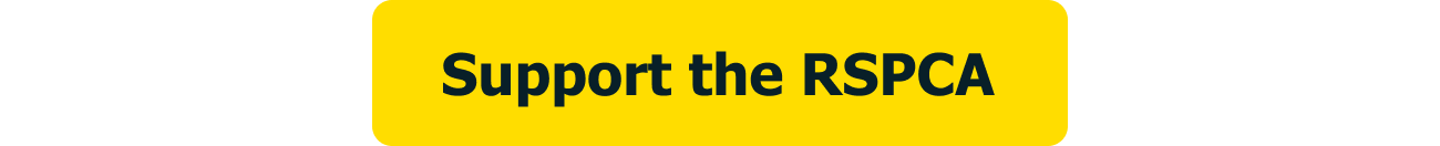 Omaze: Meet Our Charity Partner: The RSPCA 🐾 | Milled