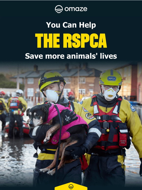 Omaze: Meet Our Charity Partner: The RSPCA 🐾 | Milled