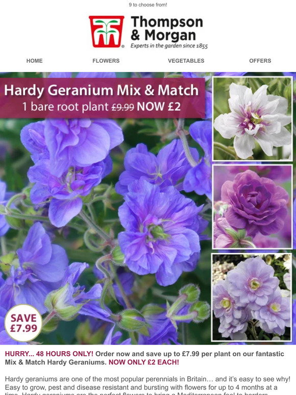 Thompson & Morgan: Only £2 each! Hardy Geranium Mix & Match | Milled