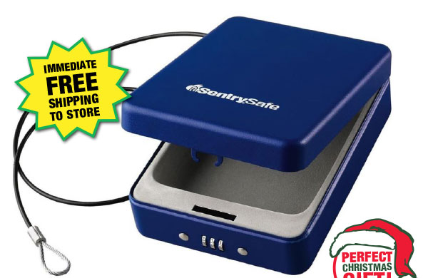 Menards: Sentry® Safe Portable Lock Box ONLY $9.99! | Milled