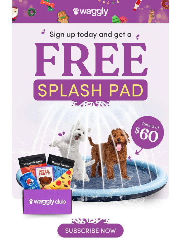Waggly: Dive into Wag-tastic Fun: Free Splash Pad Awaits! 💦🎉 | Milled