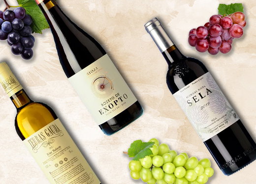 Vinissimus: 3 variedades de uva: vinos excelentes a precios especiales🍇 ...