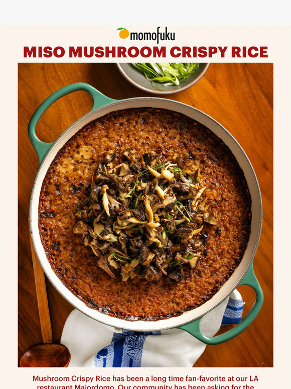 Momofuku: Restaurant-Inspired Mushroom Crispy Rice Recipe | Milled