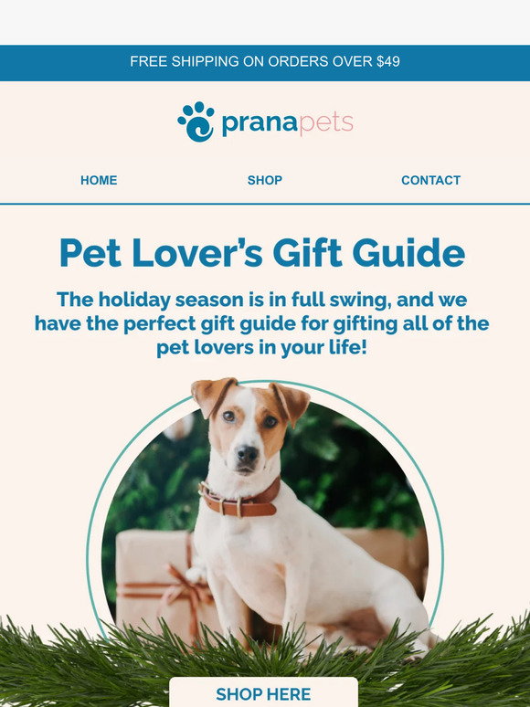 Prana Pets: Your Guide to Gifts for Pets & their People! 🎁 | Milled