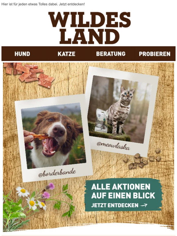 Wildes Land: Jetzt aktuelle Aktionen entdecken! | Milled