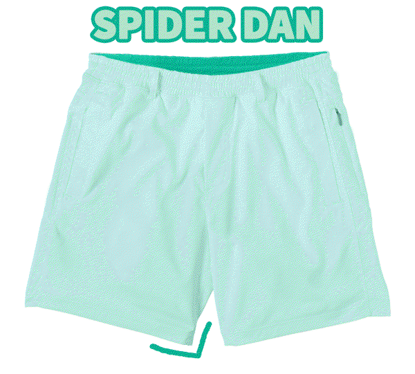 Birddogs: Meet Your Friendly Neighborhood Spider Dan! | Milled
