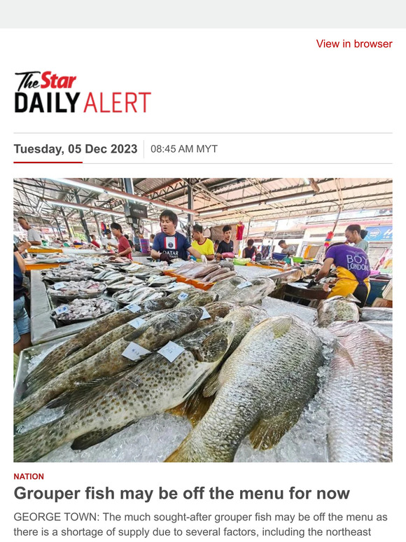 The Star: Grouper fish may be off the menu for now | Datuk on drug ...