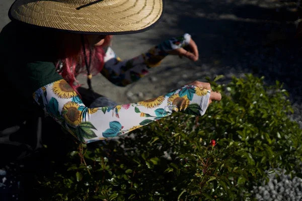 Farmers Defense: 🍃 Don't Let Thinning Skin Wilt Your Love Of Gardening ...