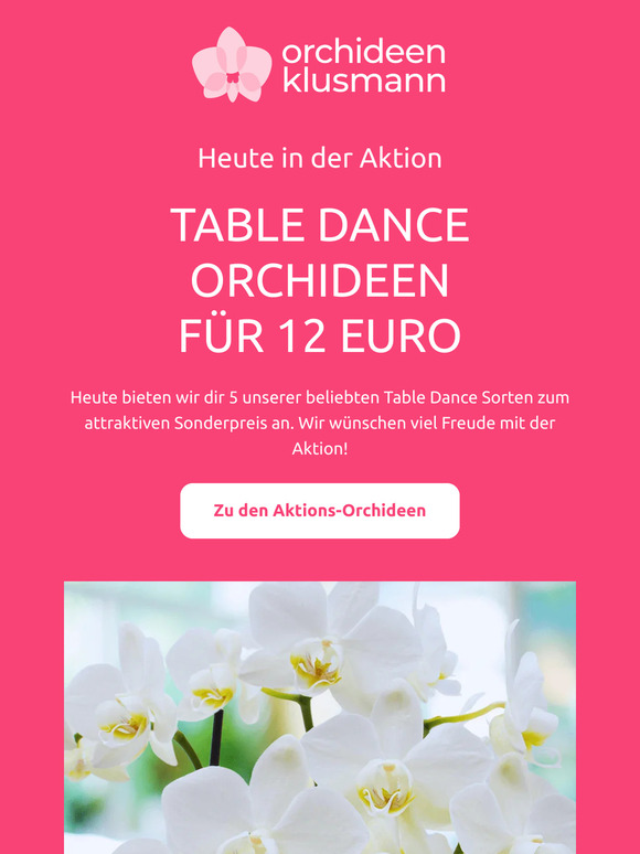 Orchideen Klusmann: 🌸 Nur heute: Table Dance Orchideen für 12 Euro | Milled