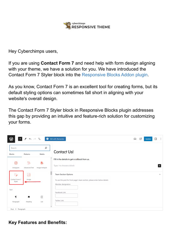 CyberChimps: Introducing Contact Form 7 Styler in Responsive Blocks Addons! 🎨 | Milled