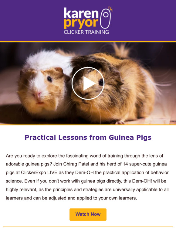 Karen Pryor Clicker Training: Recapture the Full Potential of the Shy ...