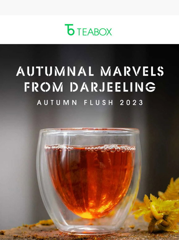Teabox US: 🌟 Giddapahar & Seilmbong Autumnal Darjeeling Tea Launch🌟 ...