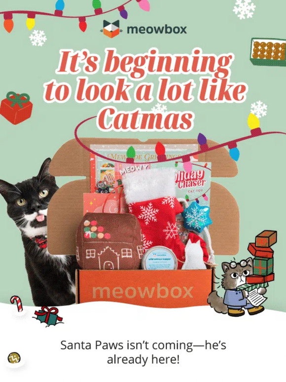 Meowbox: Sprinkle some catnip on your pawliday season 🤌🏽🌱 | Milled