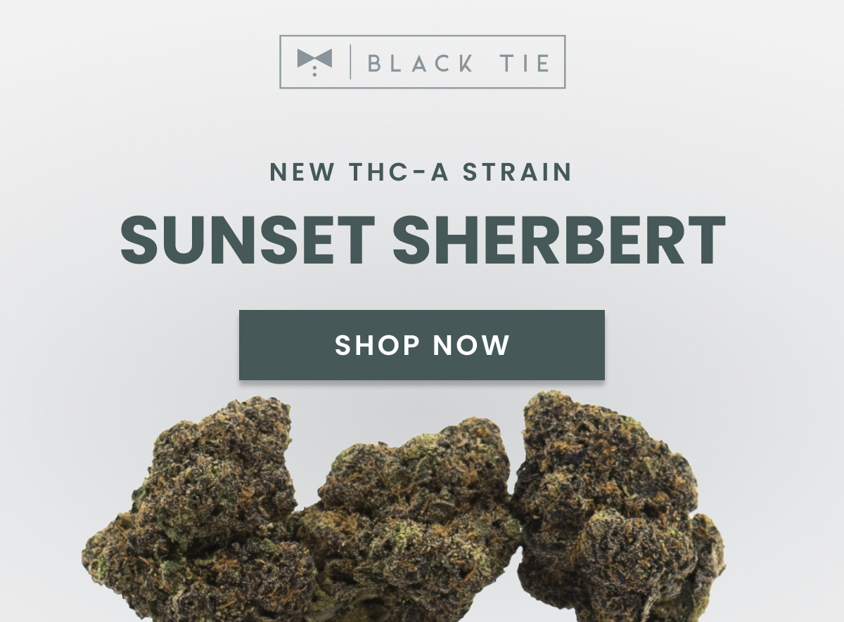 Black Tie CBD (US): New Release: SUNSET SHERBERT (INDOOR) THC-A Hemp ...