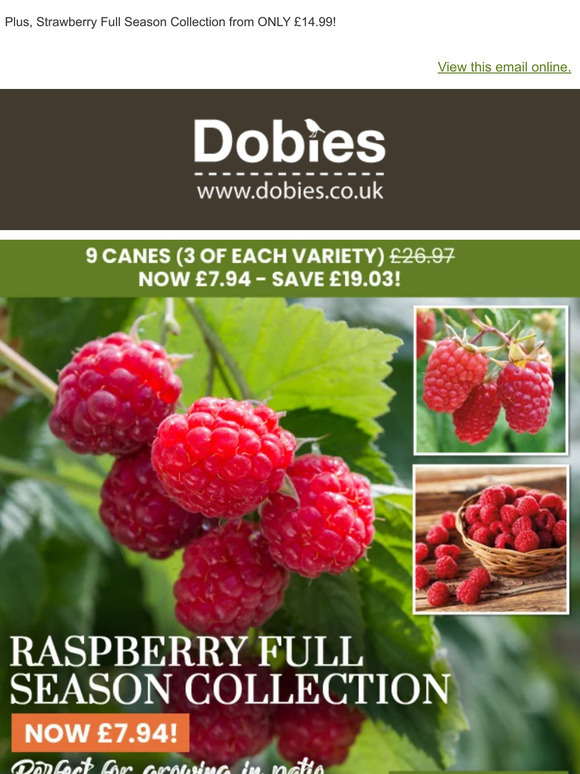 Dobies: Full Season Raspberry Collection NOW £7.94! | Milled