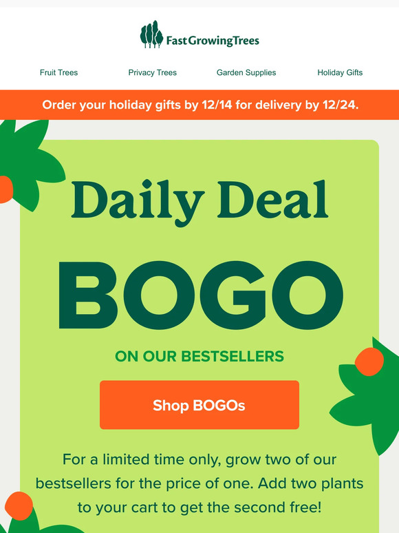 Fast Growing Trees: Hey, open for your deal of the day! | Milled