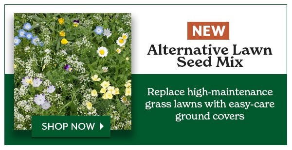 Park Seed: Park Seed’s 2024 Collection is Live | Milled