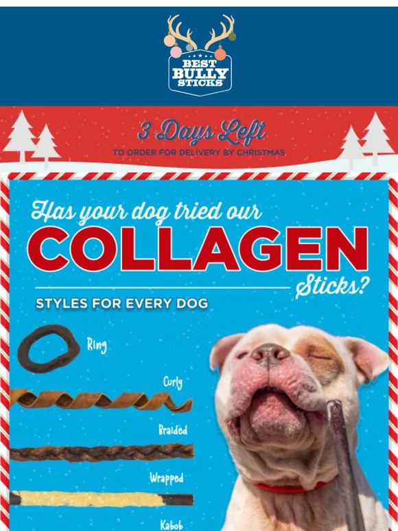 Best Bully Sticks: Fight Winter Joint Aches with Collagen Chews 🐕 | Milled