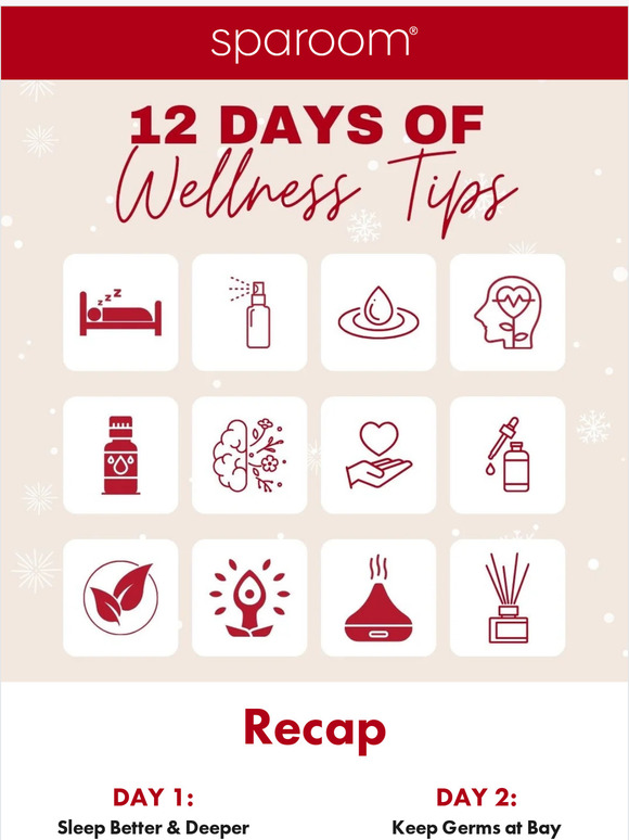 SpaRoom: ️ RECAP: 12 Days of Wellness Tips | Milled