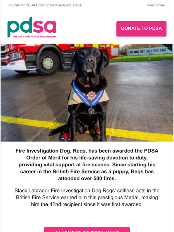 PDSA: Hurrah for PDSA Order of Merit recipient, Reqs! 🐶🏅 | Milled