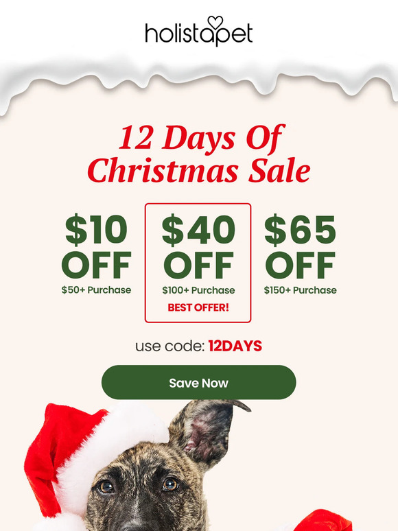 Holista Pet: Unwrap Daily Delights: 12 Days of Savings | Milled