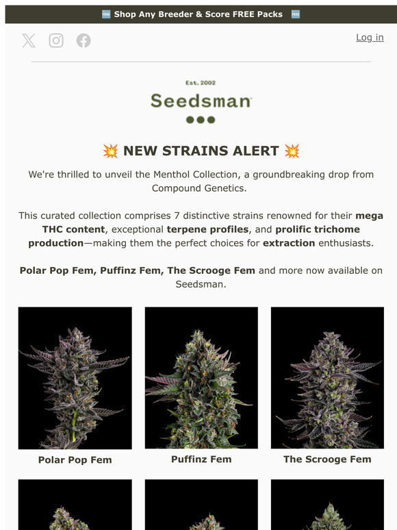 SeedsMan: NEW STRAINS ALERT: Menthol Collection x Compound Genetics 💥 ...