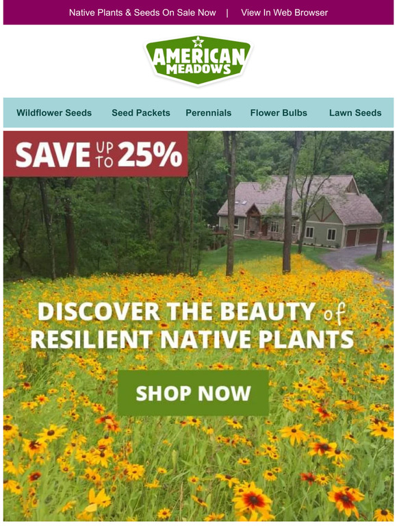 American Meadows: Discover The Beauty Of Resilient Native Plants | Milled