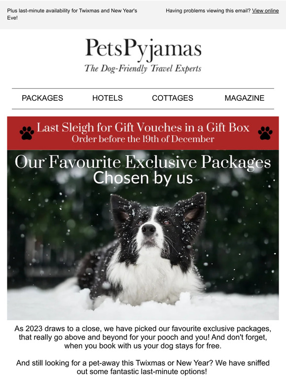 PetsPyjamas: Our favourite exclusive packages that your best furry ...