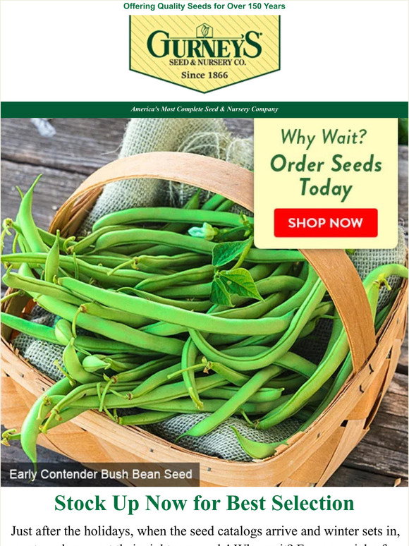 Gurney's Seed & Nursery: The early bird gets the green beans... | Milled