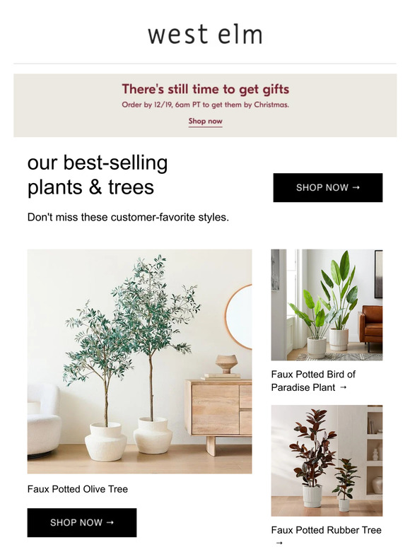 Pottery Barn: Check out our best-selling plants & trees + get it fast ...