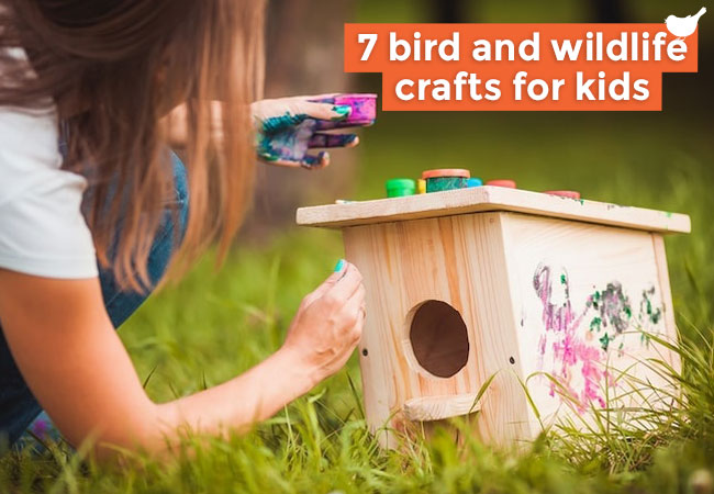 Happy Beaks: 7 bird and wildlife crafts for kids | Milled
