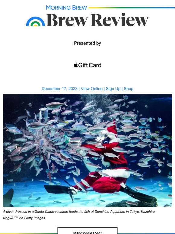 Morning Brew: ☕ Miss Universe problems | Milled