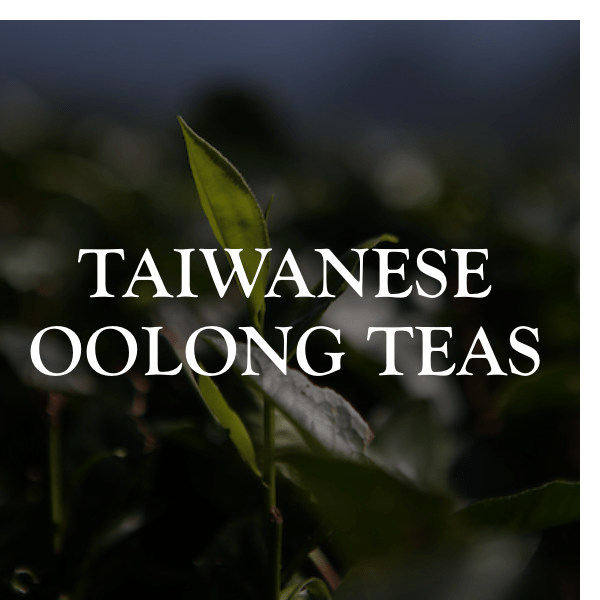 Harney & Sons: Oolong tea is one of the most fascinating teas made ...