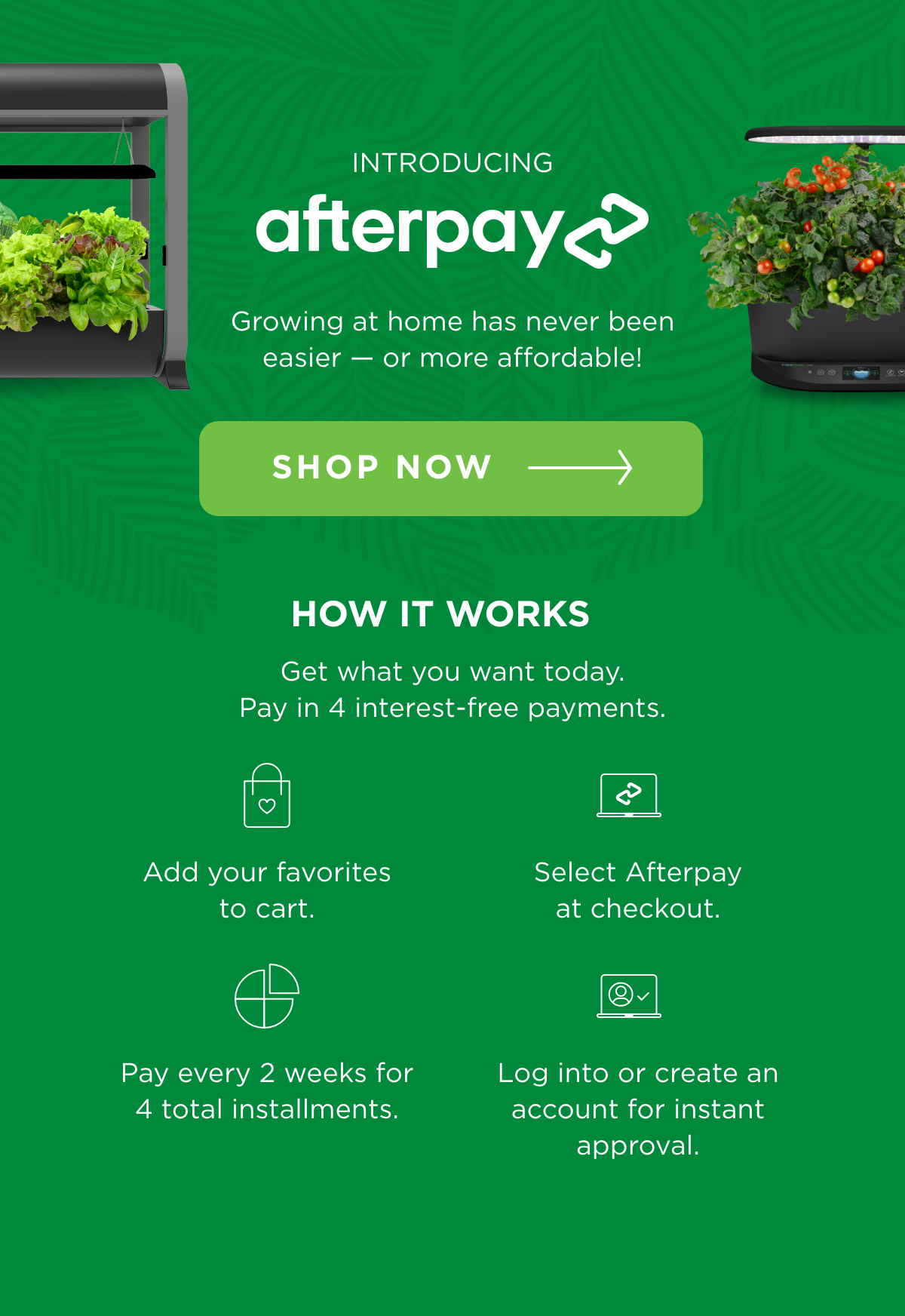 AeroGrow: Introducing...afterpay 👀 buy now, pay later! | Milled