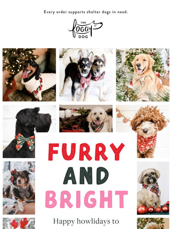 The Foggy Dog: Happy howlidays from our pack to yours 🫶🏼 | Milled