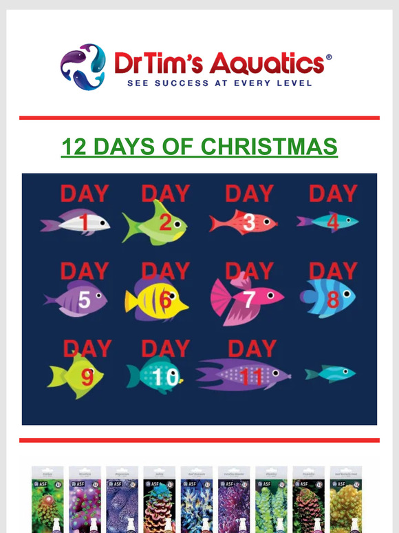 DrTim's Aquatics: 12 Days of Christmas - Day 11 | Milled