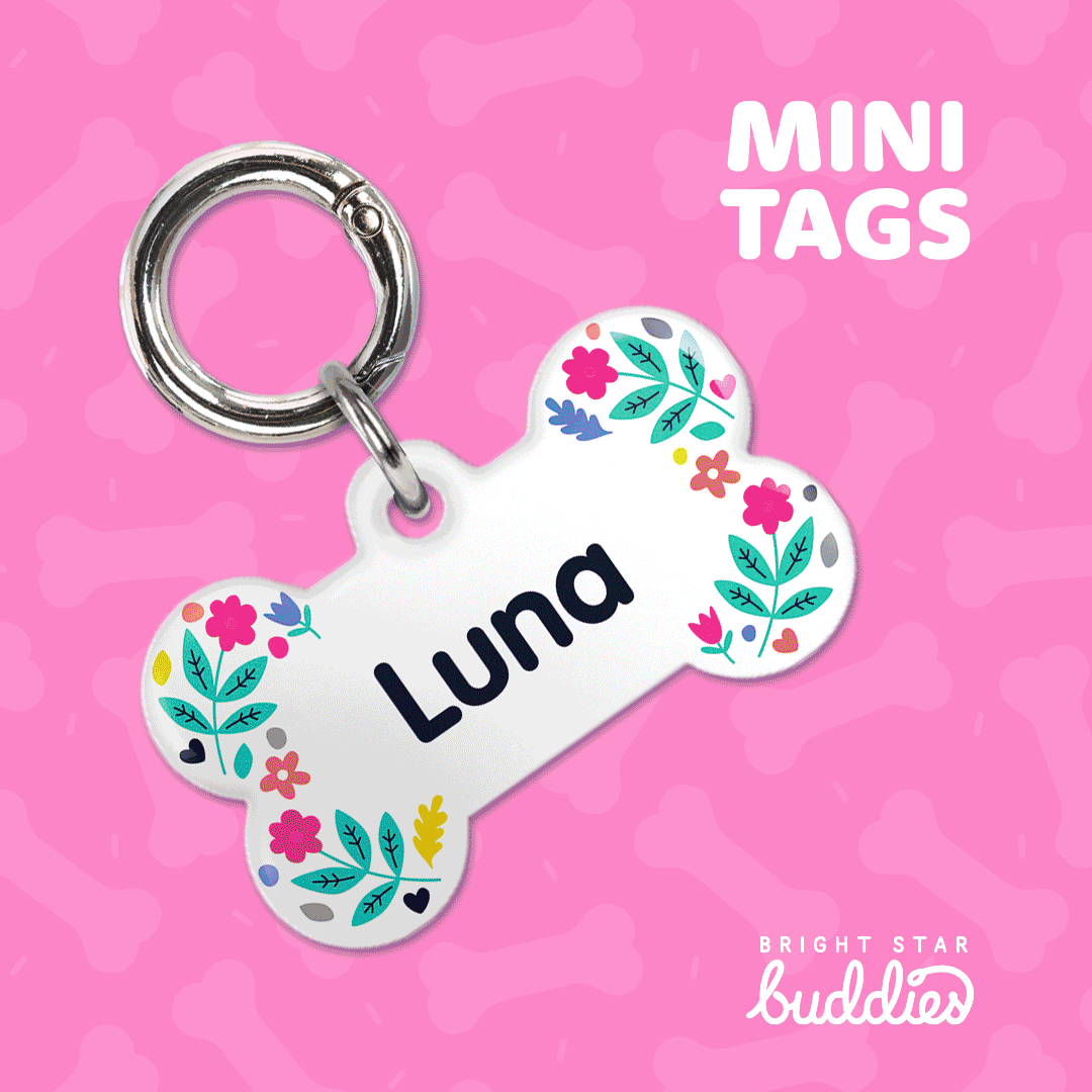 Bright Star Buddies: Dog Bone Tags in New Sizes 🦴 | Milled
