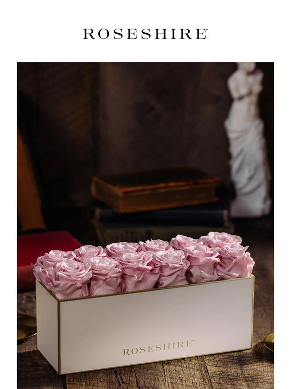 Roseshire: Lift Their Spirits with Holiday Roses! 🌹 | Milled