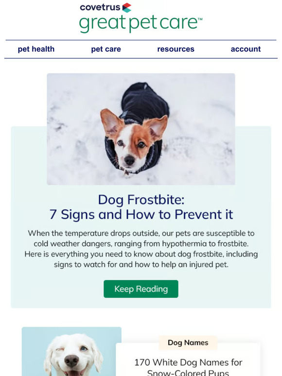 Great Pet Care: Dog Frostbite: 7 Signs and How to Prevent it | Milled