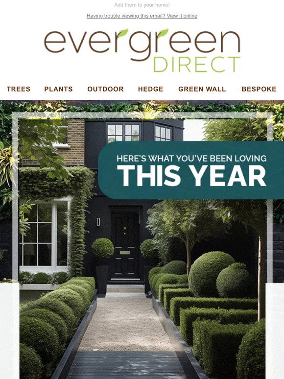 Evergreen Direct: Discover our top products of 2023 | Milled